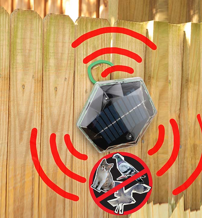 Solar Bird Repeller