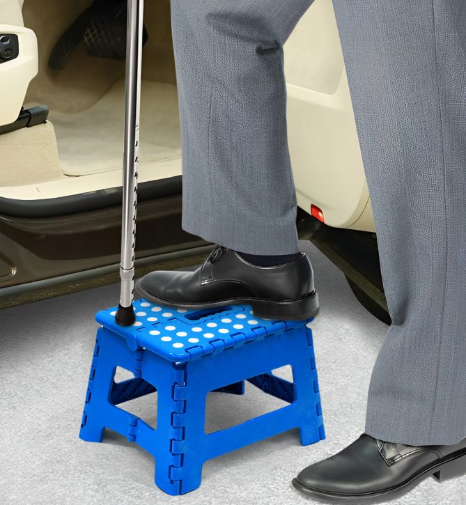 Portable Folding Step