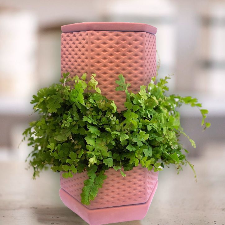 Terracotta Grow Tower