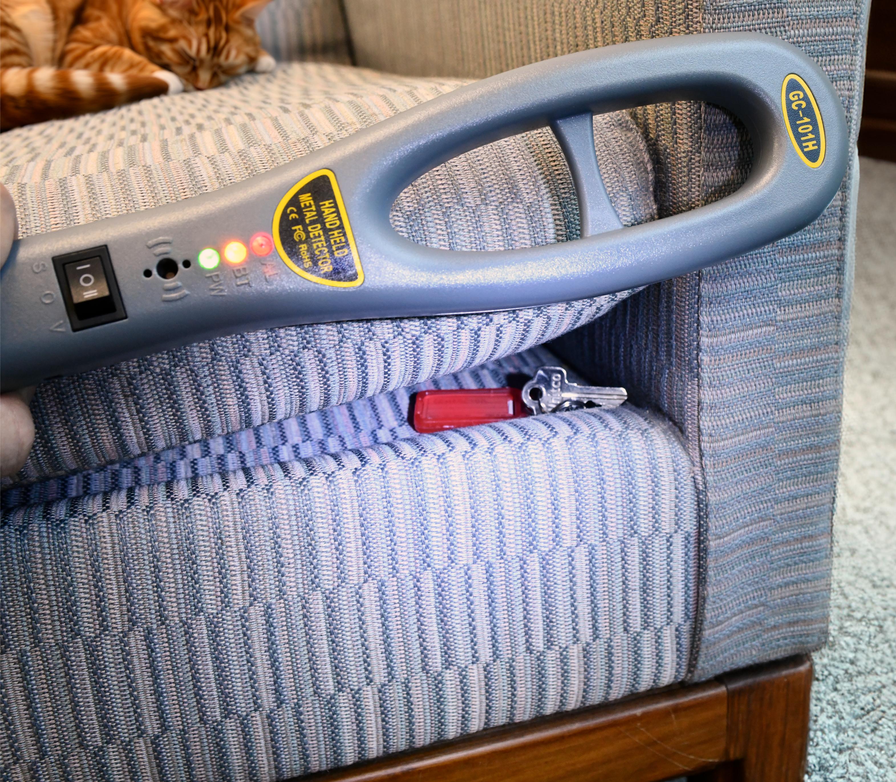 Magic Wand Metal Detector