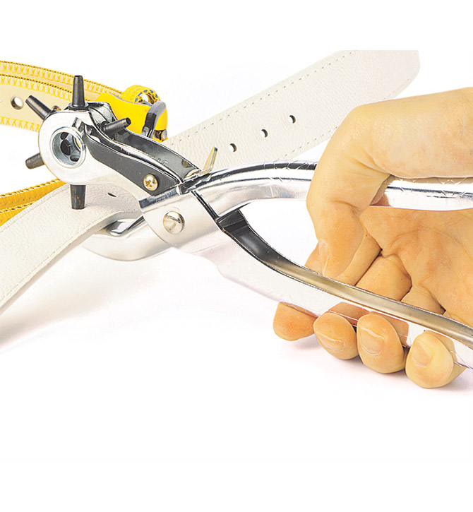 Professional hole punch